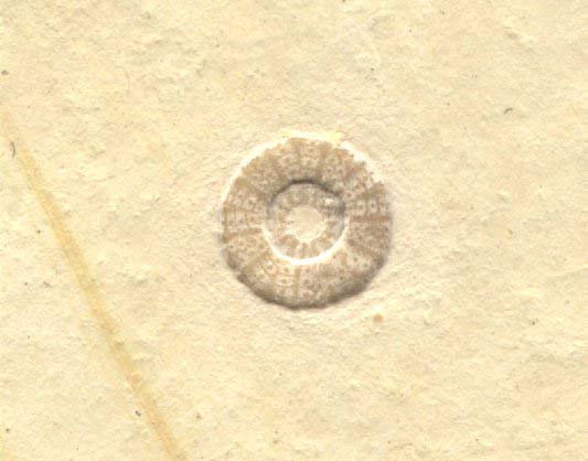 Fossilien aus den Solnhofener Plattenkalken / Galerie / Stachelhäuter